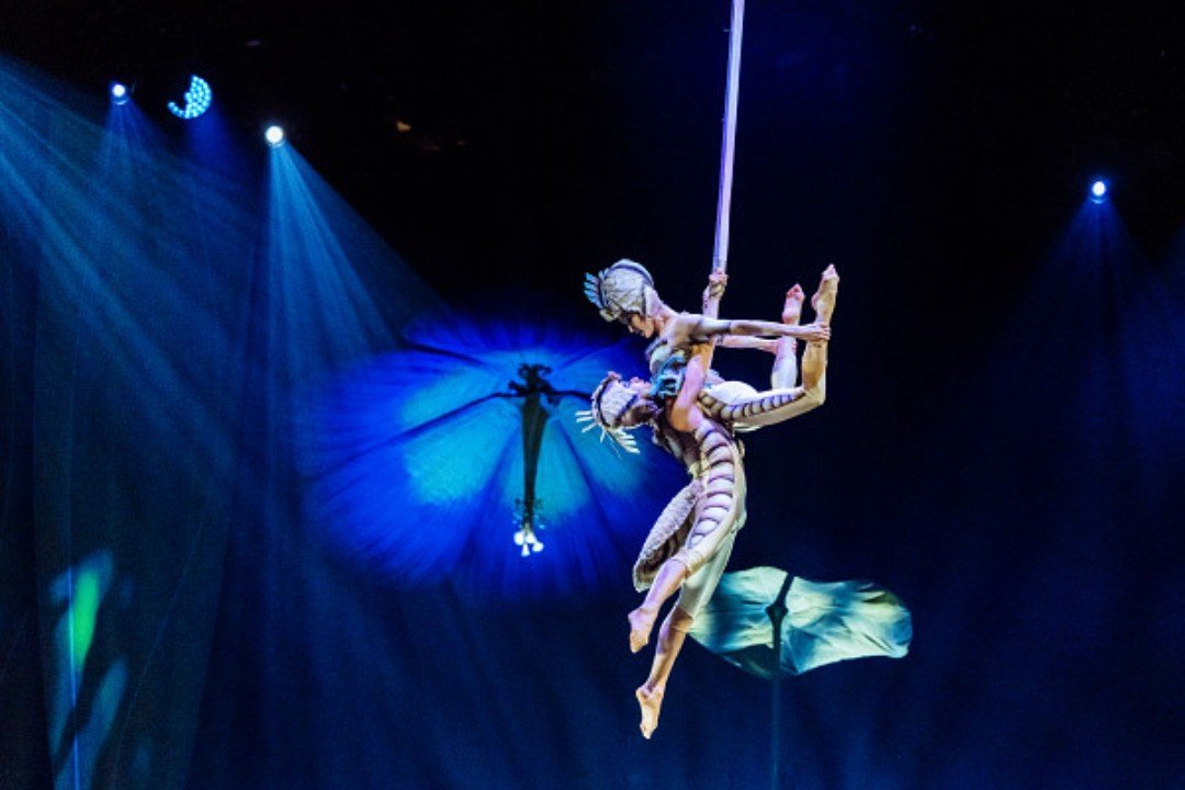 Cirque du Soleil’s OVO starts performances at the Royal Albert Hall in ...