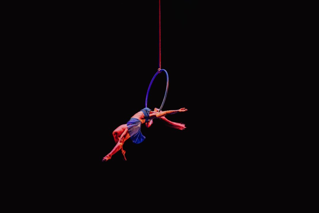New video: Come Alive! The Greatest Showman Circus Spectacular in ...