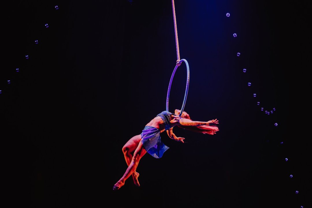 New video: Come Alive! The Greatest Showman Circus Spectacular in ...