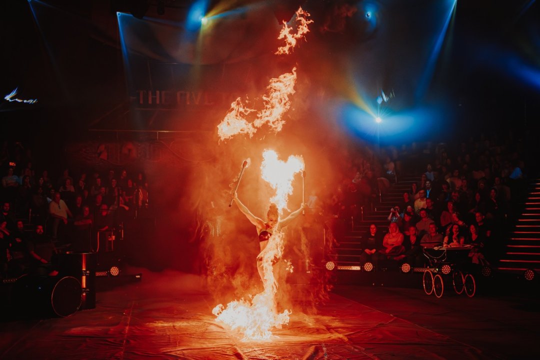 Come Alive! The Greatest Showman Circus Spectacular – Everything You ...