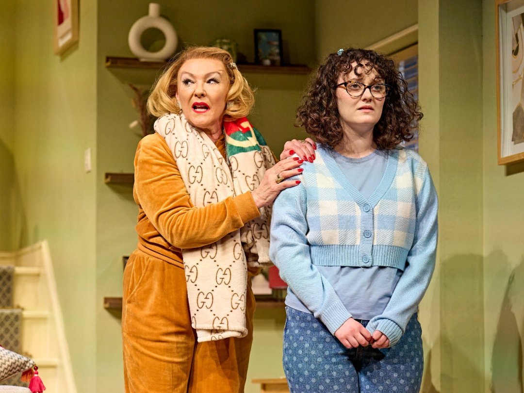 First-look Photos: The Unfriend starring Lee Mack | West End Theatre